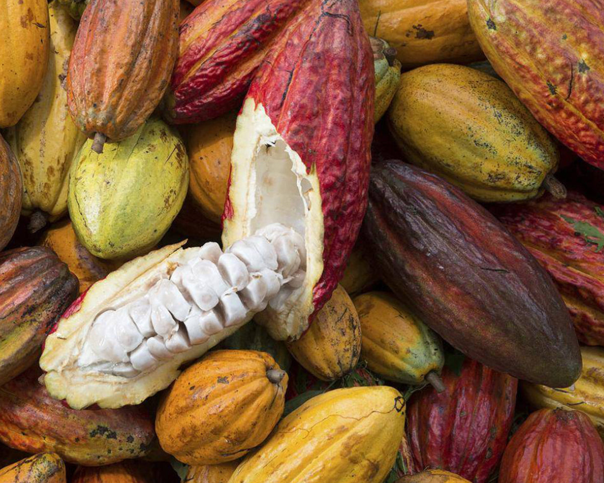 About Callebaut Shop